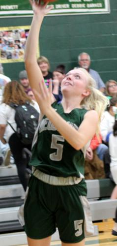 GIRLS BASKETBALL: Lady Wolves fall to upset-minded Iberia in district ...