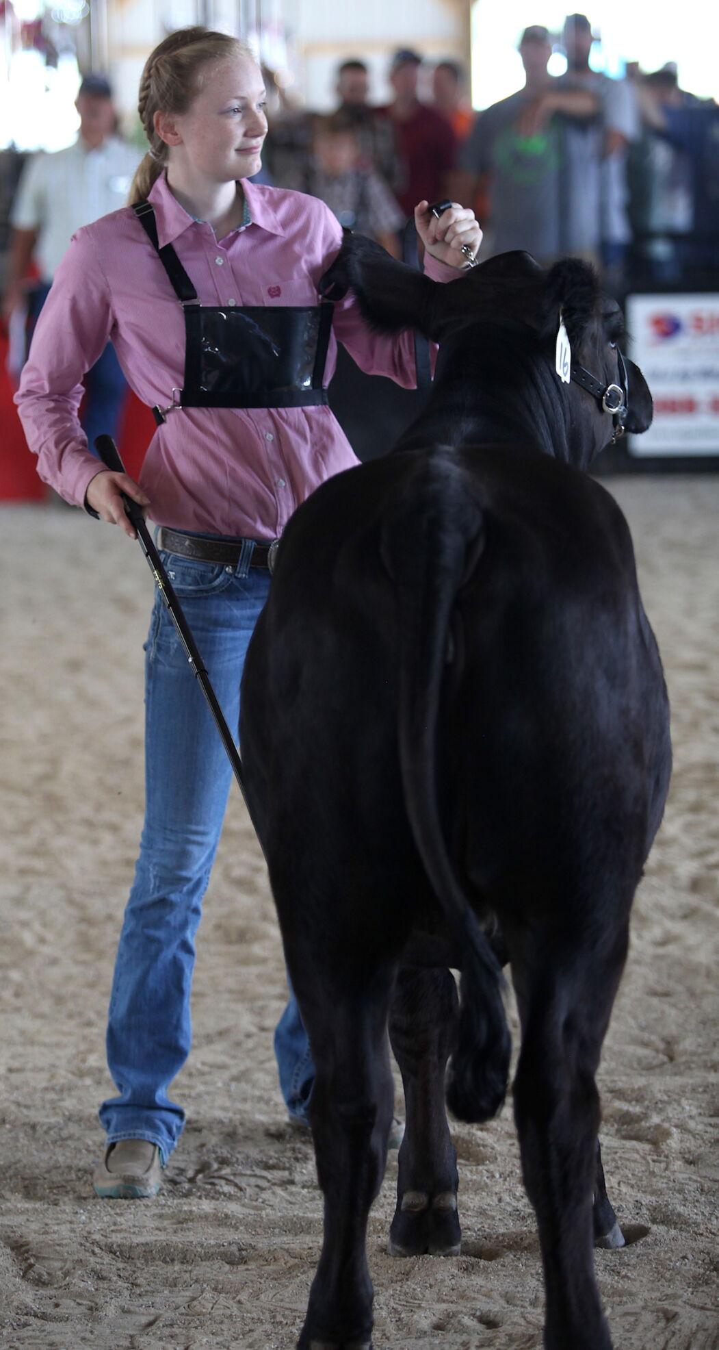 SLIDESHOW: Scenes from 2020 Phelps County Fair | Featured ...