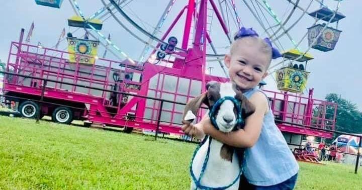 Phelps County Fair in search of additional board members | News ...