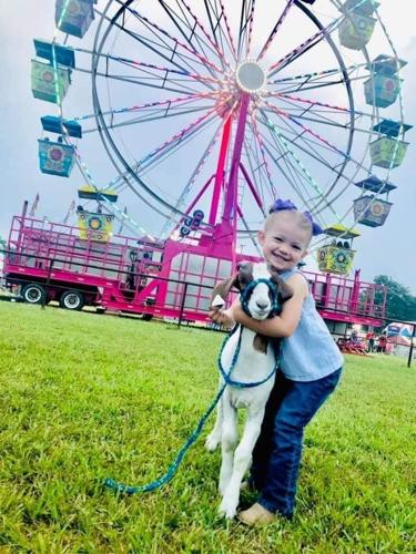 Phelps County Fair in search of additional board members | News ...