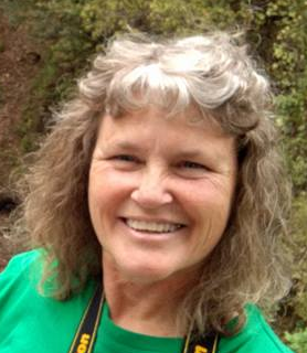 Sheryl Ann Parker | Obituaries | phelpscountyfocus.com