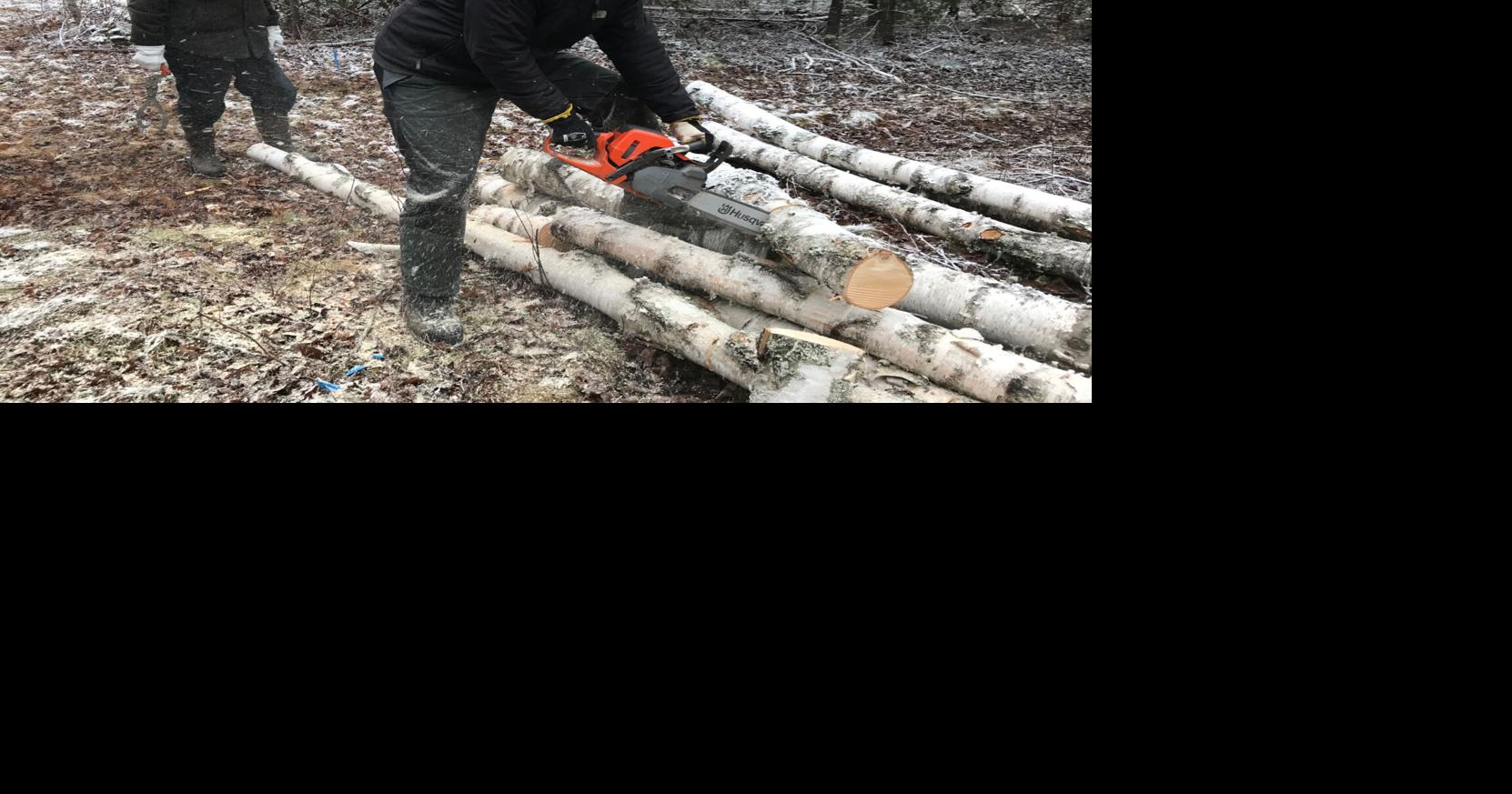 Forest fire hazard rises after Fiona’s damage | Community ...