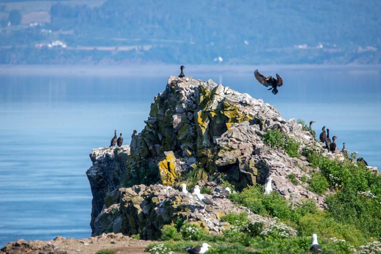 The seven-kilometre dagger: Cape Split Provincial Park a long-awaited ...