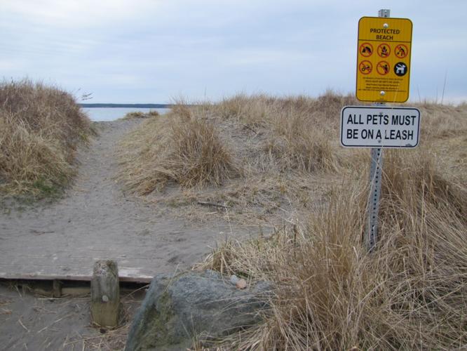 Groups push for infrastructure improvements at Nova Scotia beaches ...