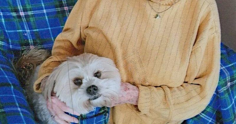 BIGNEY, Bertha Helen | Obituaries | pictouadvocate.com