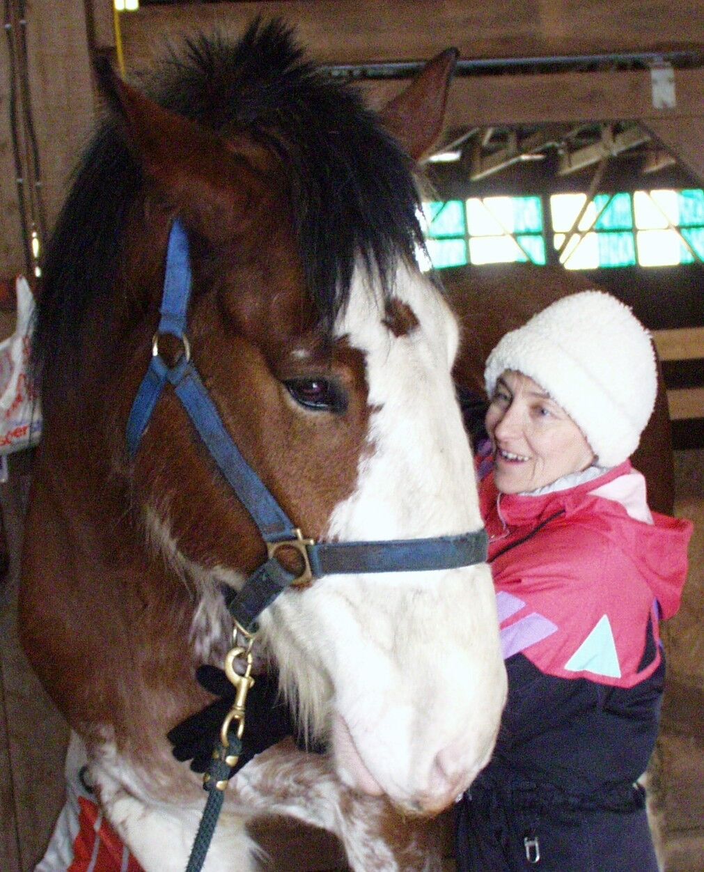 MACKAY, Ardith Ida | Obituaries | pictouadvocate.com