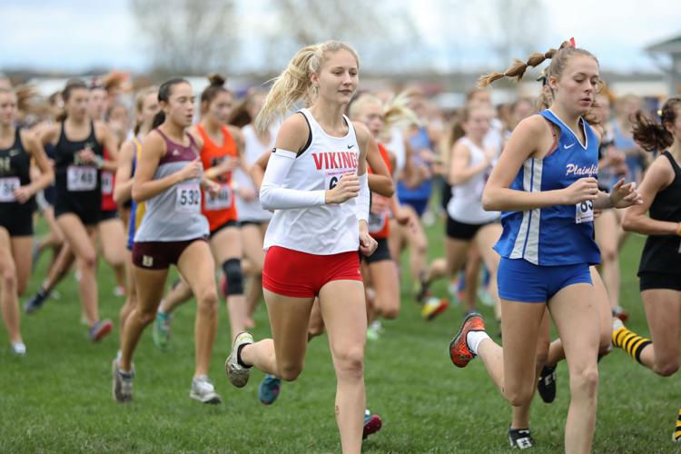 Wiley, Niswander compete at cross country state finals | Sports ...