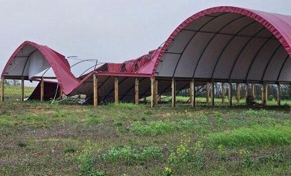 Greenhouse sale starts April 20 (copy) | News | pmg-ky1.com
