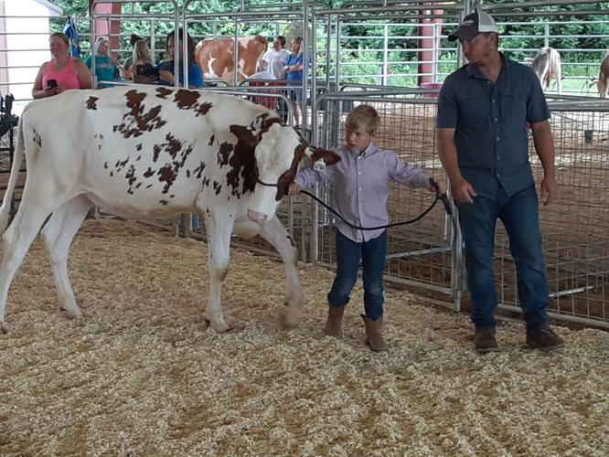 Henry County Fair starts next week | News | pmg-ky1.com