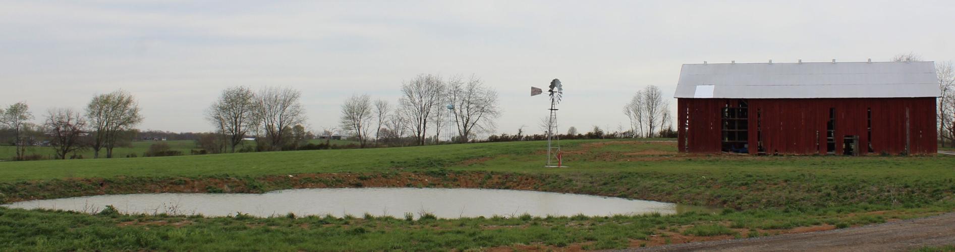 Malin’s Red Barn & Family Farm holds grand opening | Henry County Local ...