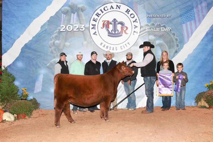 Kennedy Evans wins big at American Royal in Kansas City. | Henry County ...