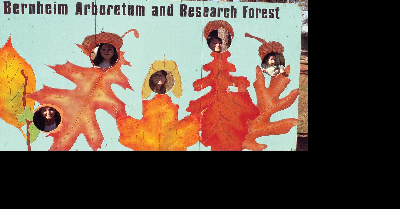 ColorFest at Bernheim Arboretum and Research Forest | Features | pmg ...