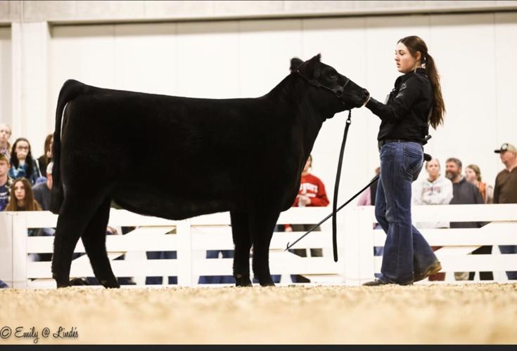 FFA students selected for veterinary program | Henry County Local | pmg ...