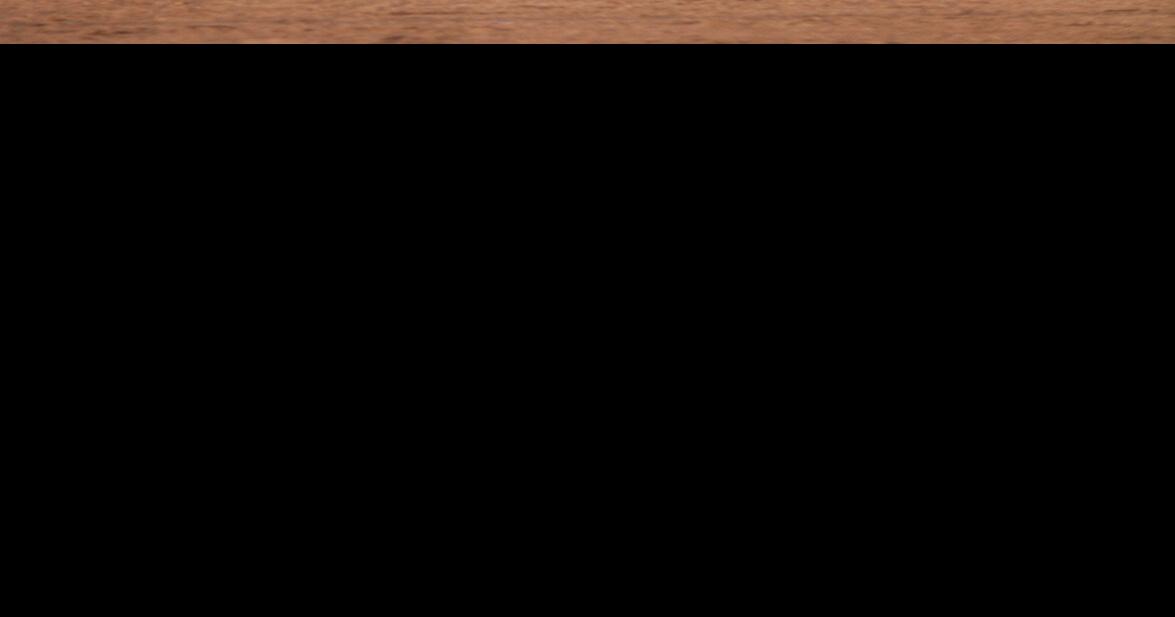 Third inning explosion boosts Lady Cats to district win (copy) | Sports ...