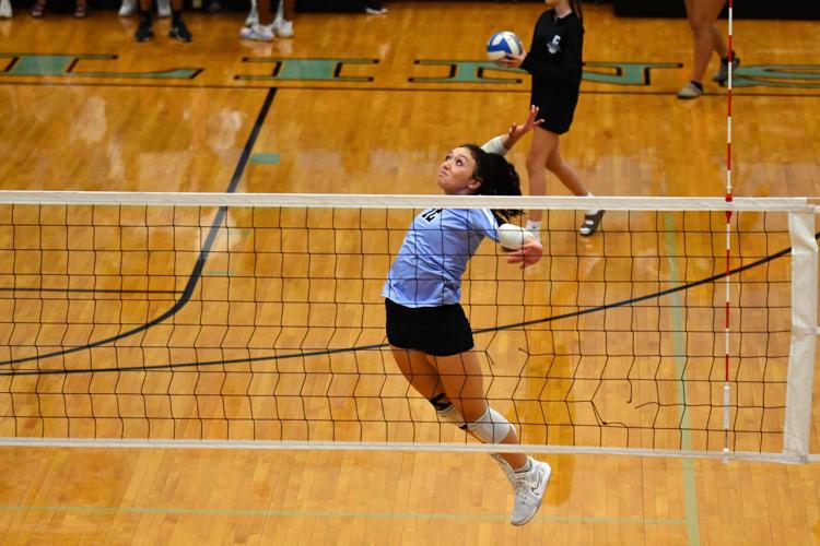'They're just ballers': New era of Collins volleyball defined by grit ...