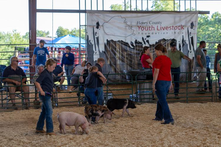 Livestock camp group learns showmanship then show at fair | | pmg-ky1.com
