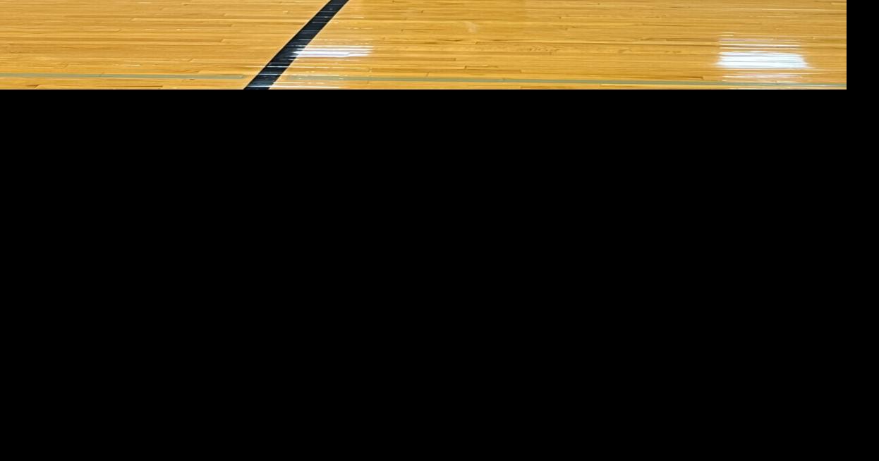 Savanah Butler and Renee Borders join Titans volleyball | Sentinel News ...