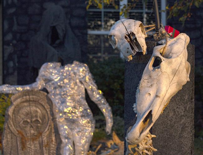 Hospice vet transforms home into Halloween show | Features | pmg-ky1.com