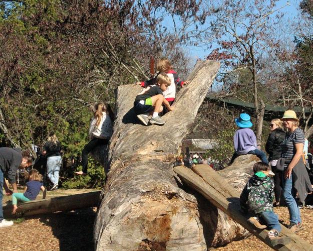 ColorFest at Bernheim Arboretum and Research Forest | Features | pmg ...