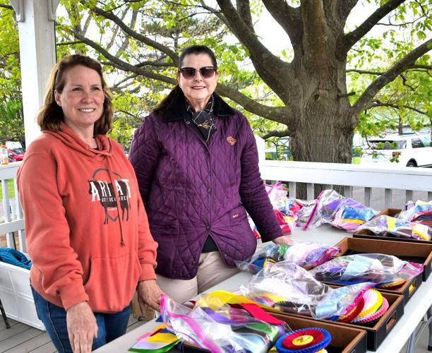 Horses high-step into the ring at Dogwood | Sentinel News | pmg-ky1.com