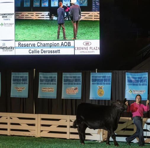 Callie Derossett wins big at Kentucky State Fair | Henry County Local ...