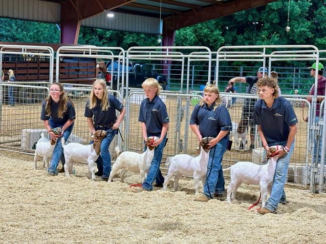 Livestock camp group learns showmanship then show at fair | | pmg-ky1.com