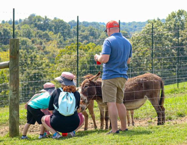 Annual Good Neighbors Farm Tour draws a crowd | | pmg-ky1.com