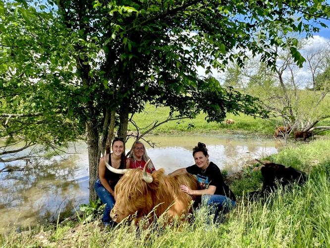 Highland cows start as pets, foster business | Features | pmg-ky1.com