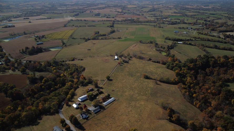 Yount Family Farm wins Cattleman's Award | Henry County Local | pmg-ky1.com