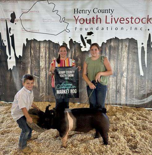 Pigs at the Henry County Livestock Show | Henry County Local | pmg-ky1.com