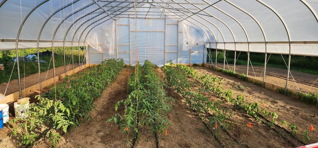 Lawson Family Farm: New Castle farmers market profile | Henry County ...