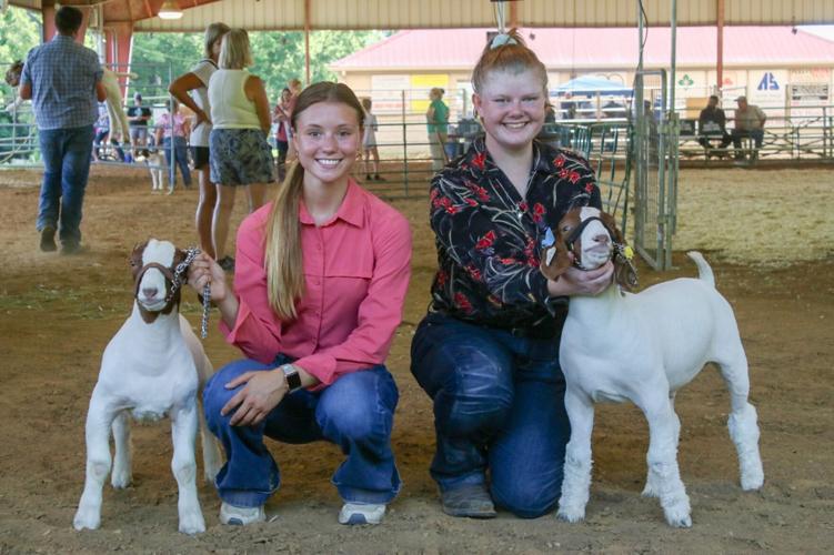 Northern Kentucky District Goat Show highlights changing animal ...
