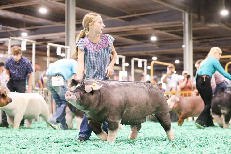 More Henry County winners at the 2023 Kentucky State Fair | Henry ...