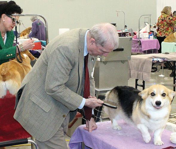 Corgi Show in Shepherdsville | Features | pmg-ky1.com