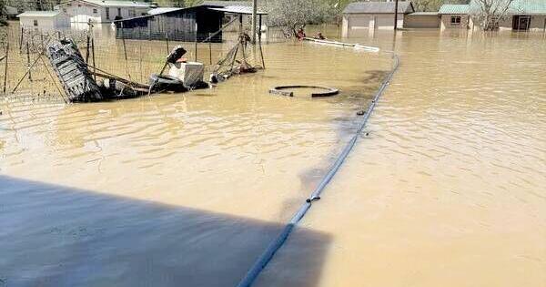 Flood-contaminated food can cause health risks; here are some food ...