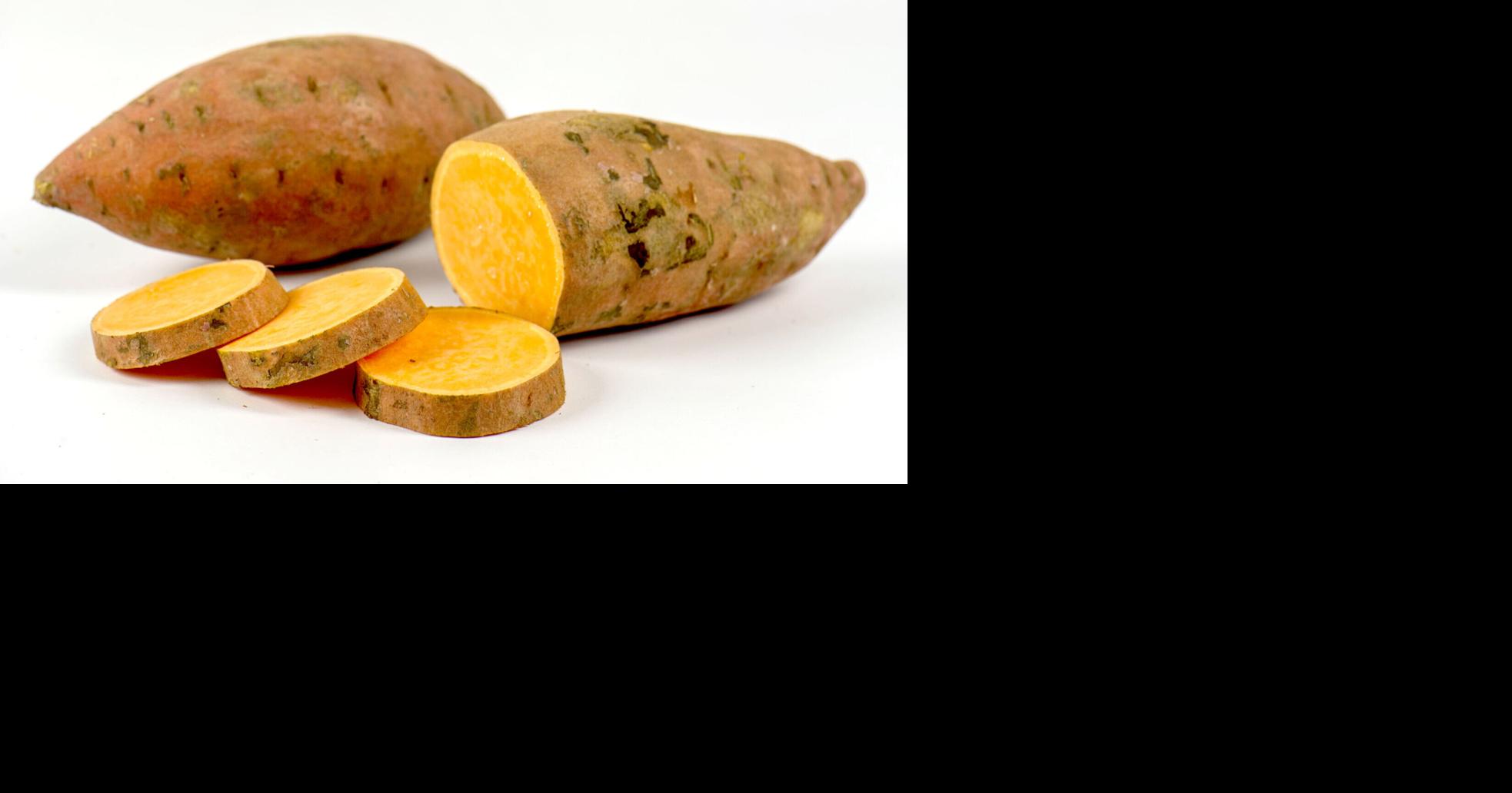 Sweet potatoes need 150 days | Spencer Magnet | pmg-ky1.com