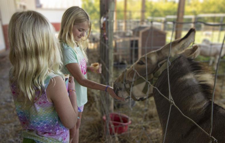 Annual Good Neighbors Farm Tour draws a crowd | | pmg-ky1.com