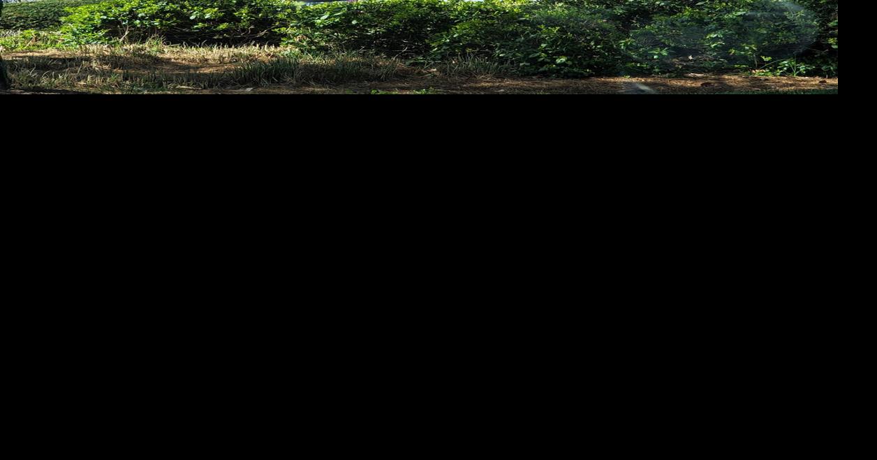 SPRING 2024 Gaylord statue | Sentinel News | pmg-ky1.com