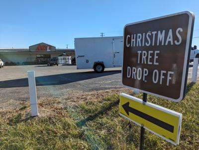 Christmas light, tree drop-off points provided | The Anderson News ...