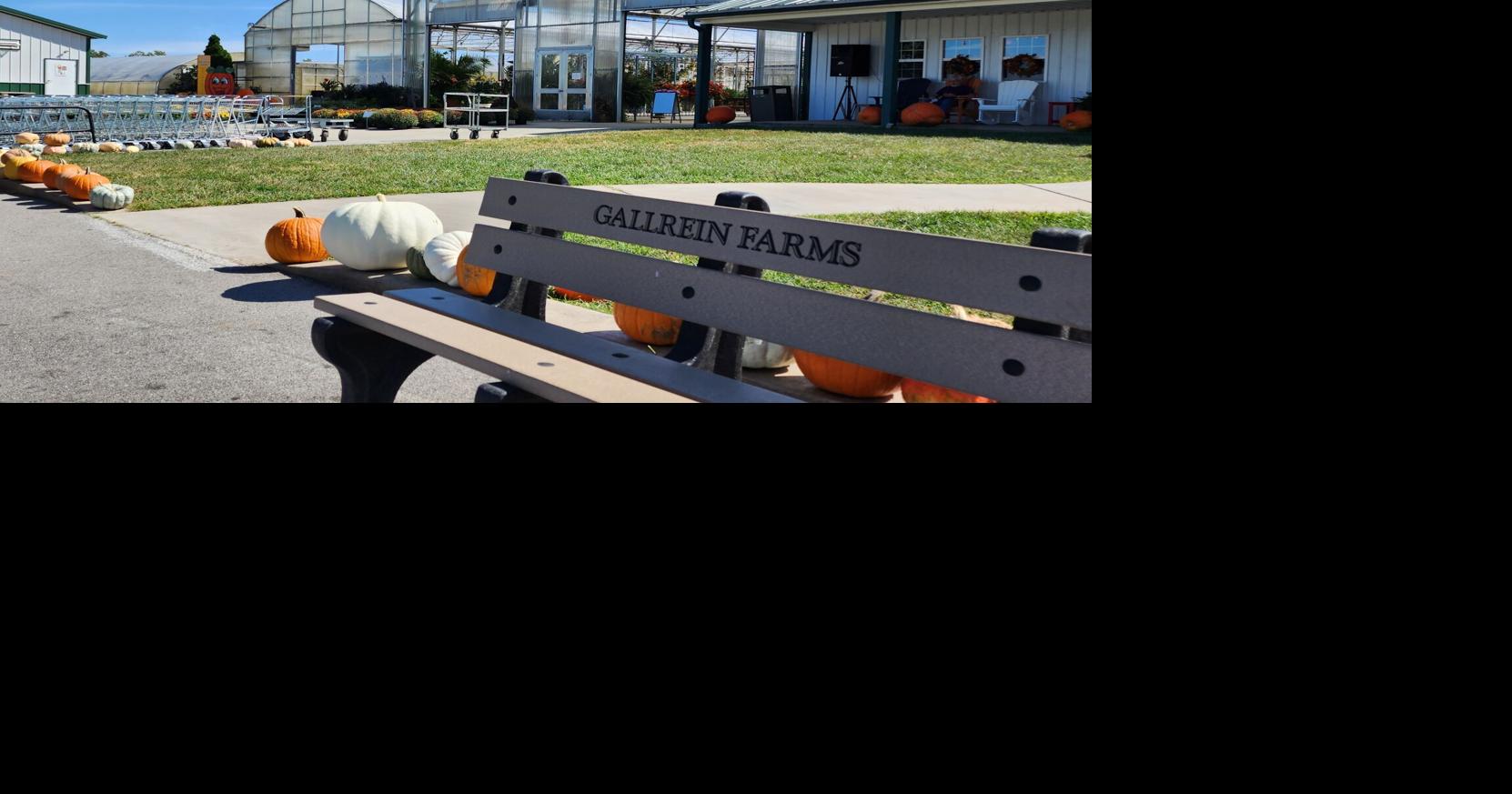 Farm, family and community are cornerstones of Gallrein Farms ...