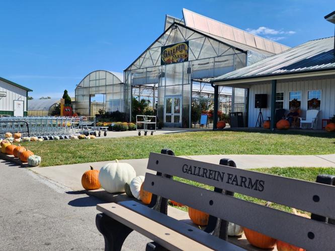 Farm, family and community are cornerstones of Gallrein Farms ...