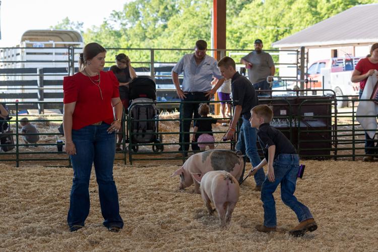 Livestock camp group learns showmanship then show at fair | | pmg-ky1.com