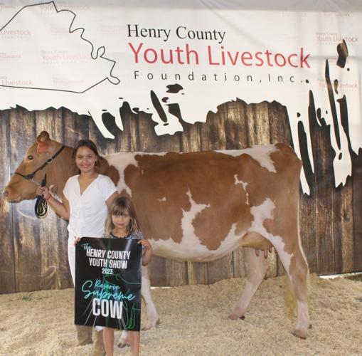 Dairy Cow Show | Henry County Local | pmg-ky1.com