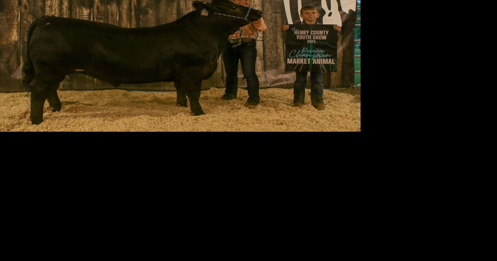 Beef Cattle Show | Henry County Local | pmg-ky1.com