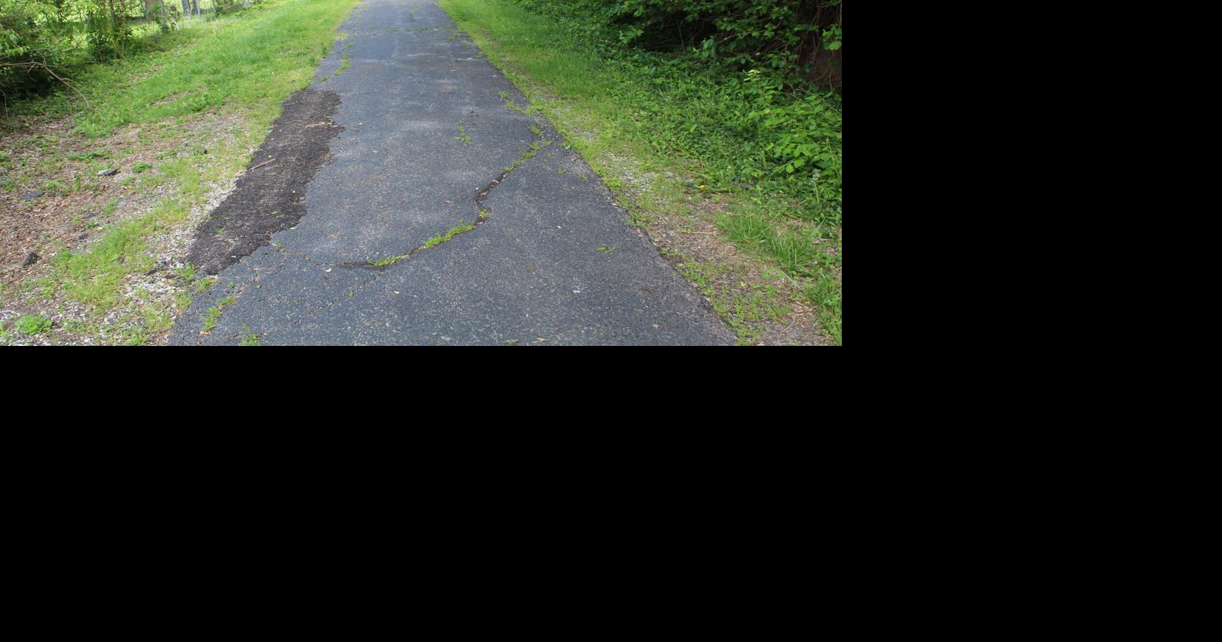 Jim Green Walking Trail approved for resurfacing | Henry County Local ...