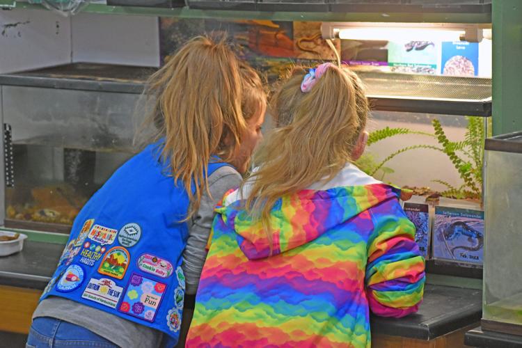 Salamander Saturday focuses on preserving habitats | Central Kentucky ...