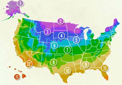 How to pick plants that thrive in local climate | Features | pmg-ky2.com