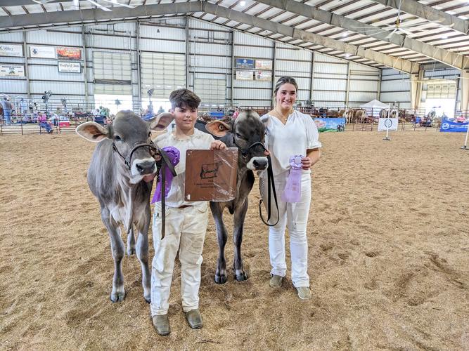 Dairy show held at Ag/Expo | Features | pmg-ky2.com