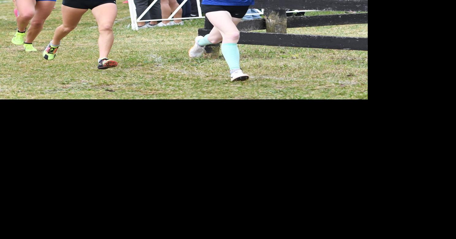 Lady Hawks’ Day places seventh in state XC meet | Sports | pmg-ky2.com
