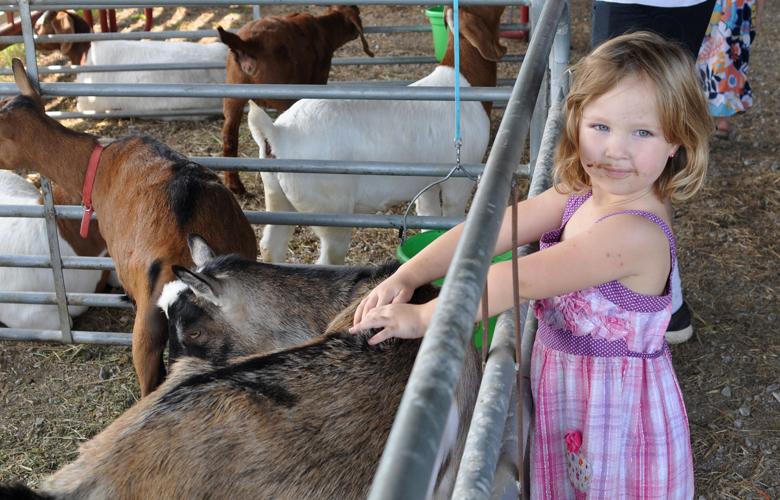 Fall Heritage Festival set for Saturday | Agriculture | pmg-ky2.com